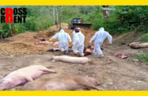 The CrossCurrent - To reveal,To inform,To move forward boldly