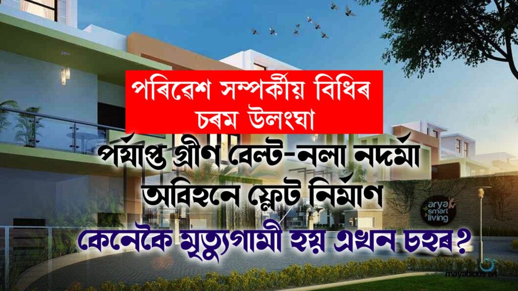 পৰিৱেশ বিধিৰ চৰম উলংঘন- বিল্ডাৰে কেনেকৈ সংকট নমাই আনিছে পৰিৱেশলৈ? - The Cross Current